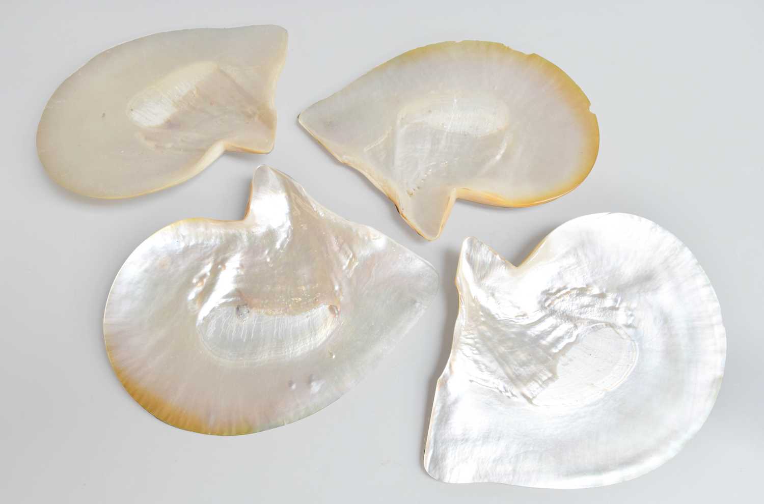 Lot 148 - Four Mother-of-Pearl Shell Sections, largest