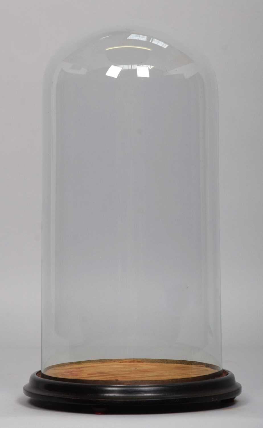 Lot 274 - Glass Dome: Period Glass Dome, of circular
