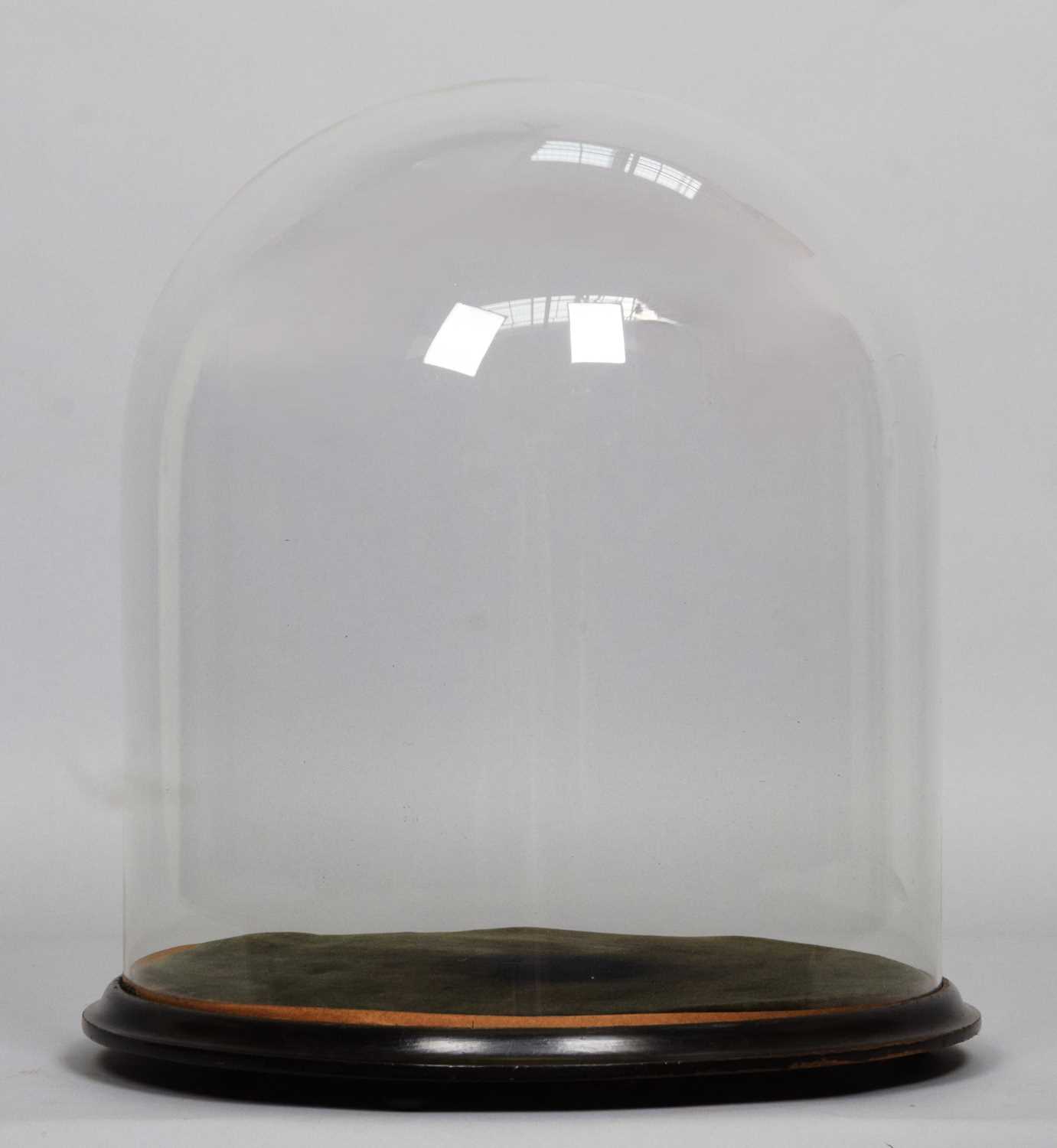 Lot 286 - Glass Dome: A Period Glass Dome, of squat