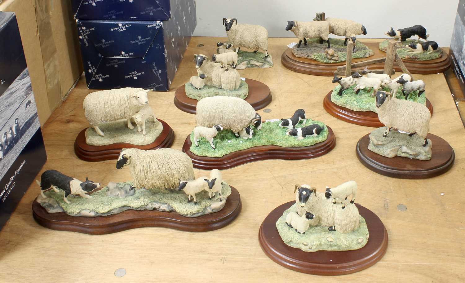 Lot 2218 - Border Fine Arts Sheep Models Including: