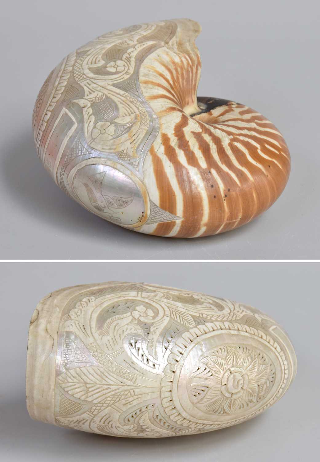 Lot 17 - A Nautilus Shell With Foliate Carving, 19th
