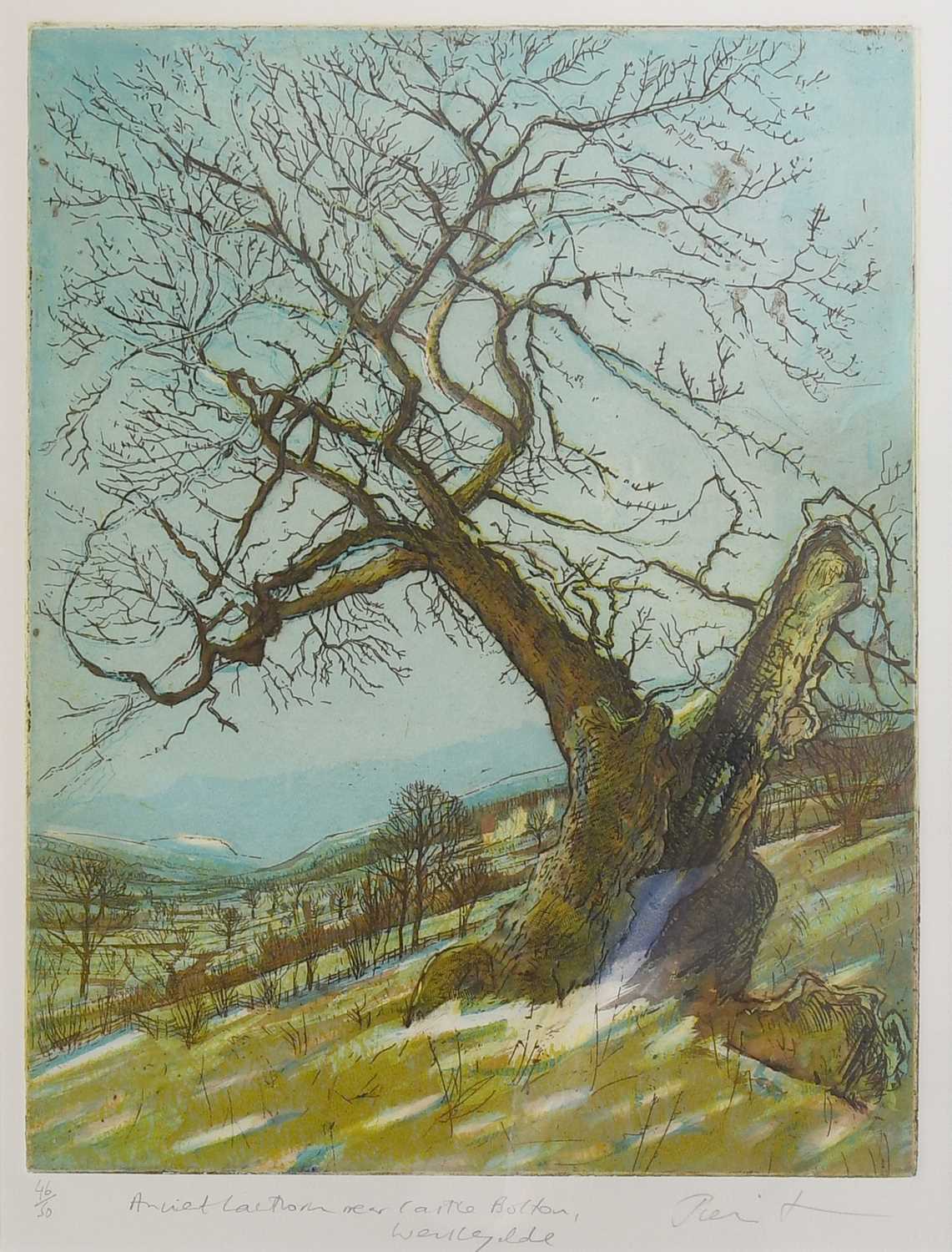 Lot 1230 - Piers Browne (1949-2024) "Ancient Hawthorn