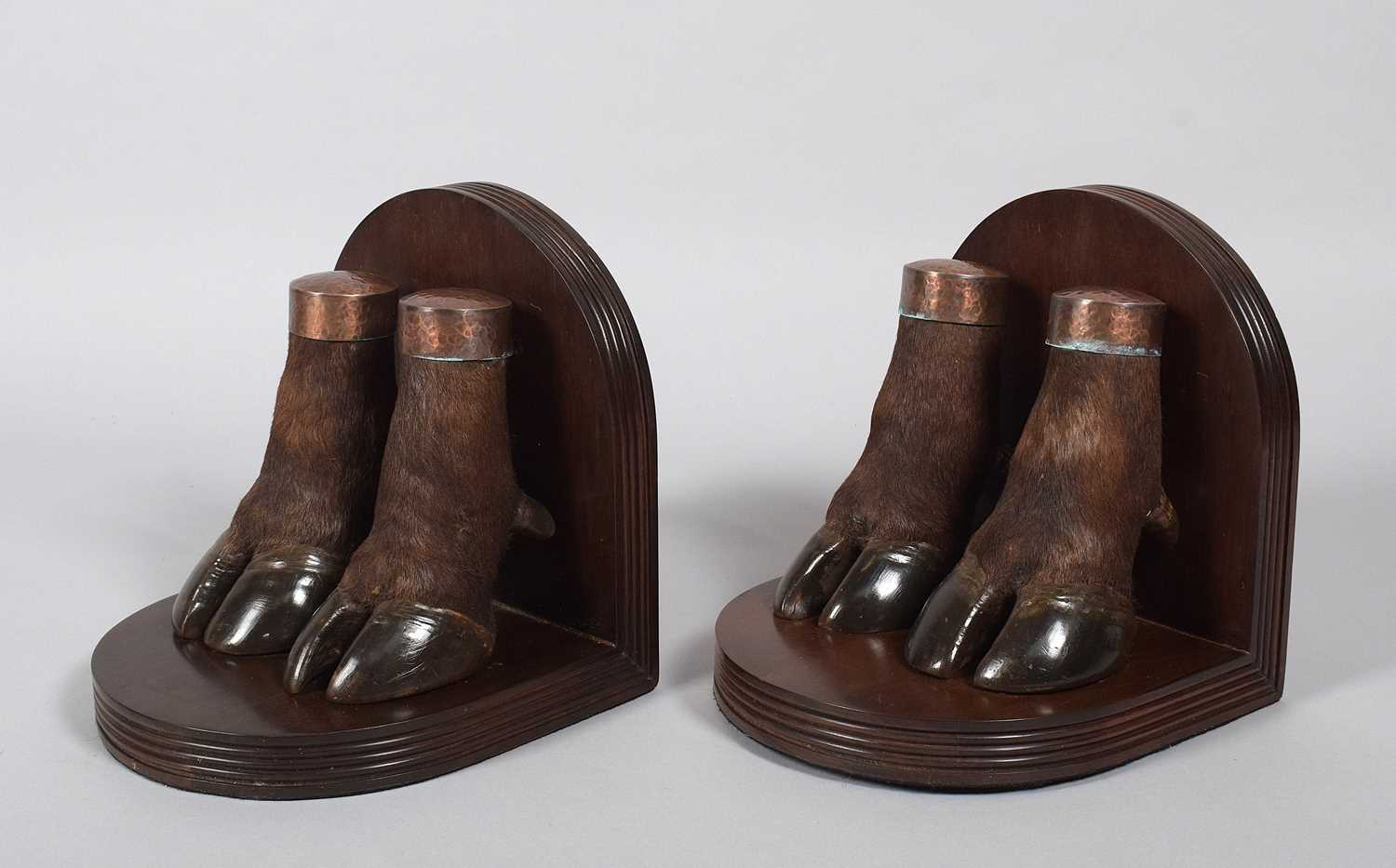 Lot 201 - Natural History: A Pair of Cape Buffalo Hoof