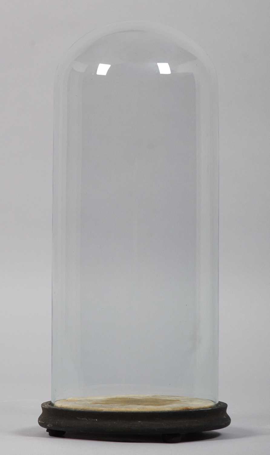 Glass Dome: A Period Glass Dome, of circular form,