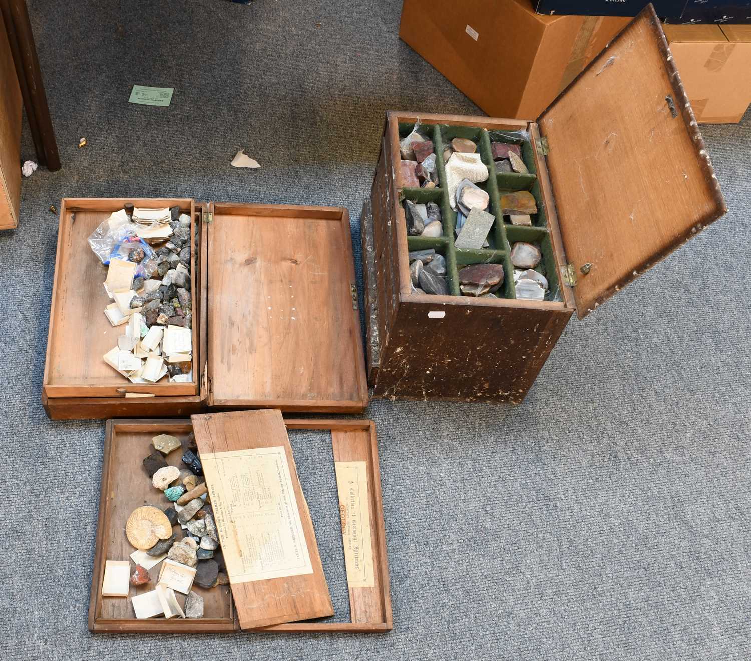 Lot 234 - Three Boxes of Mineral Samples and Fossils