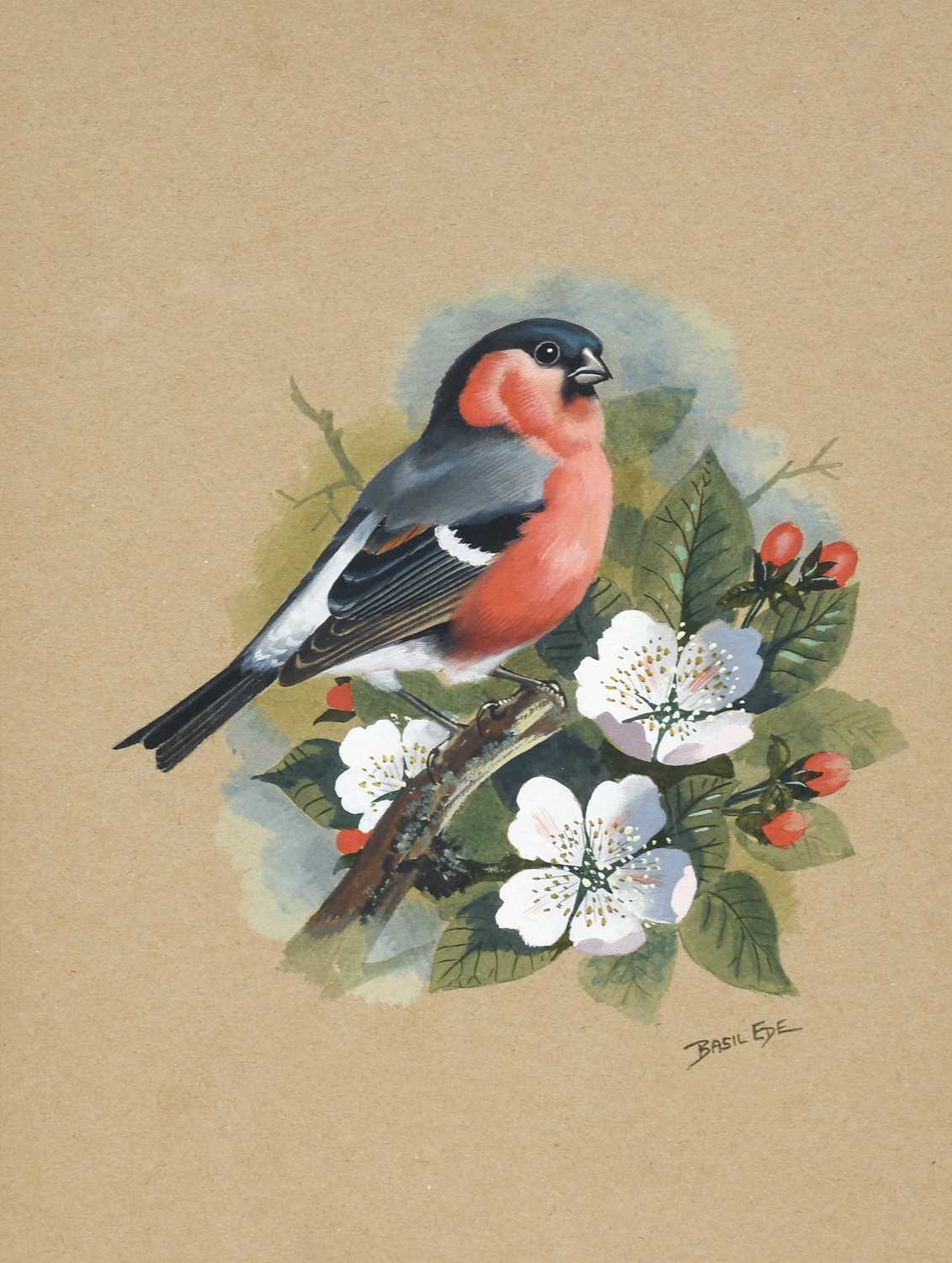Lot 519 - Basil Ede (b.1931) "Bullfinch" Signed,