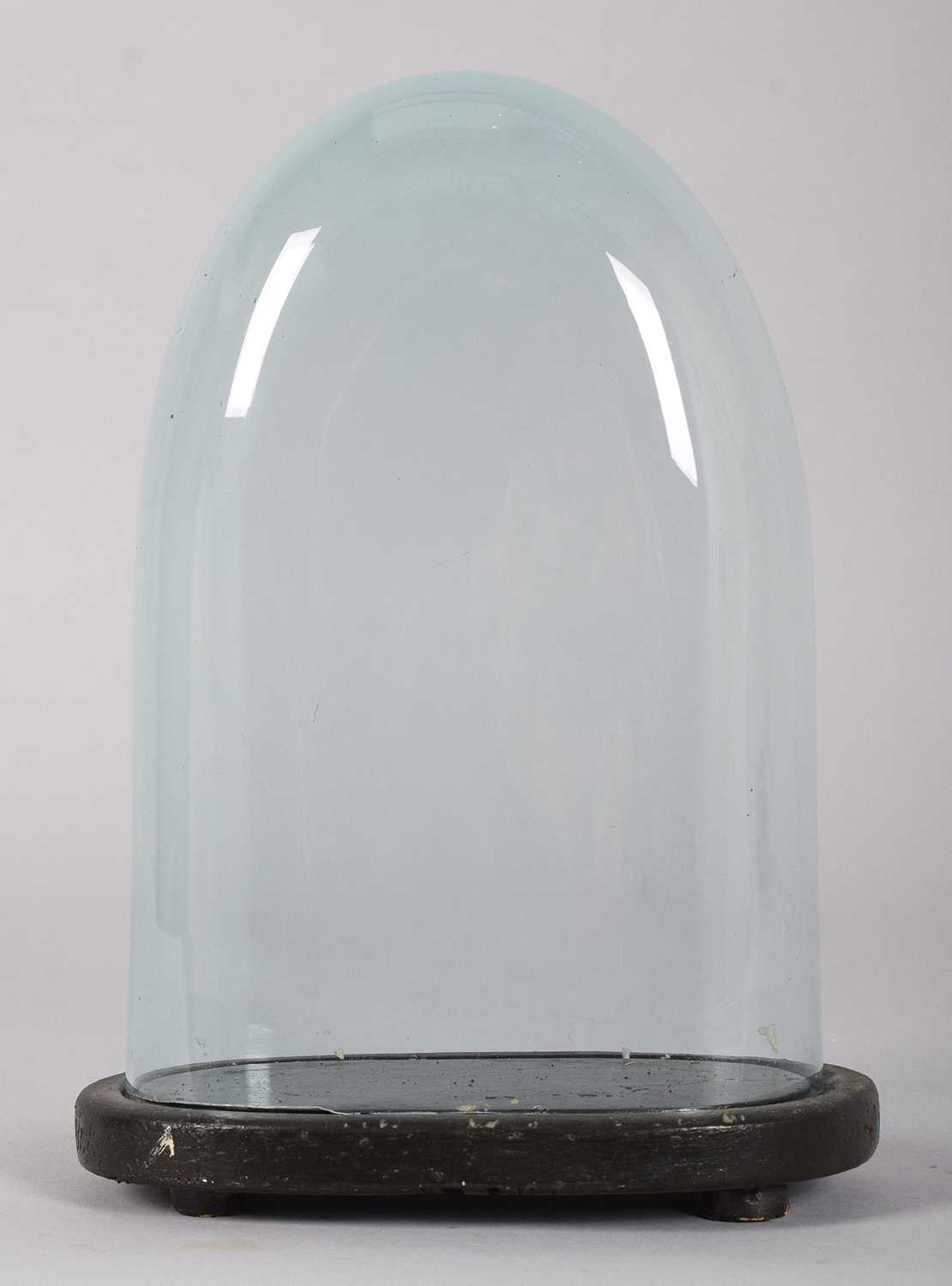 Glass Dome: A Period Glass Dome, of oval form, with