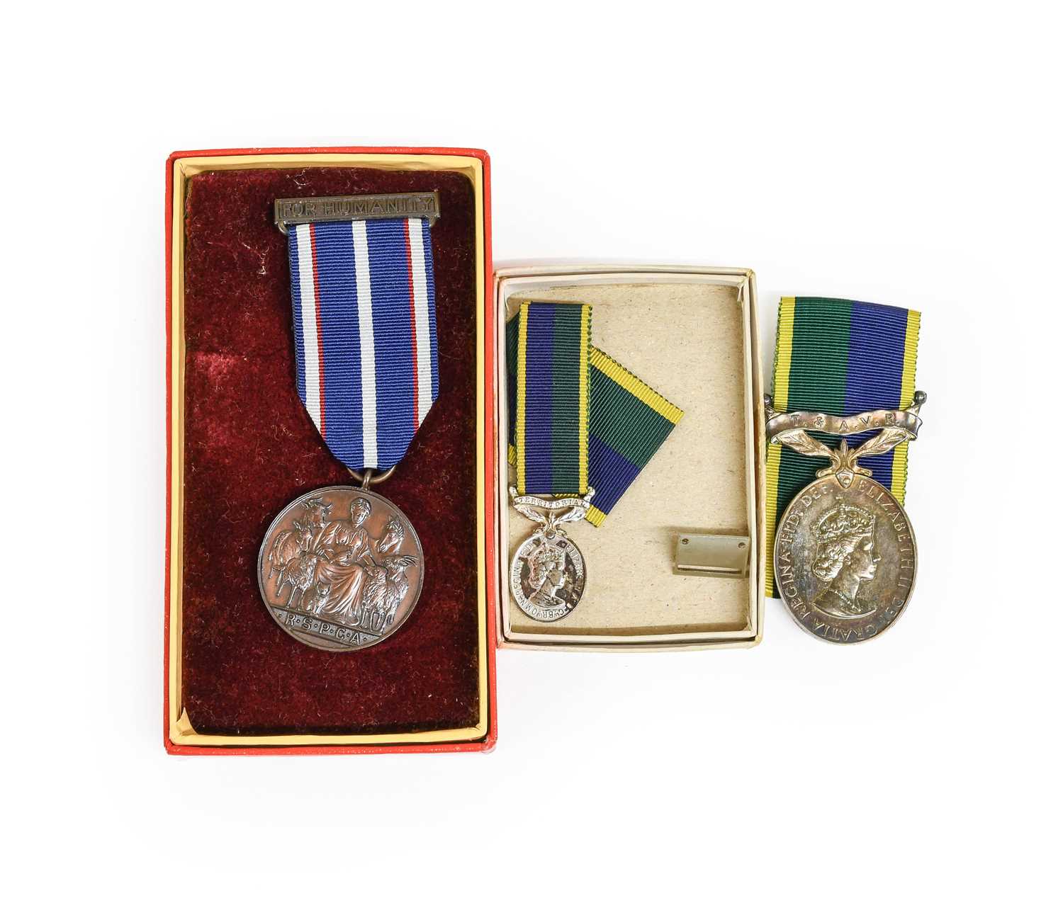 Lot 11 - An Efficiency Medal (Elizabeth II) with T.