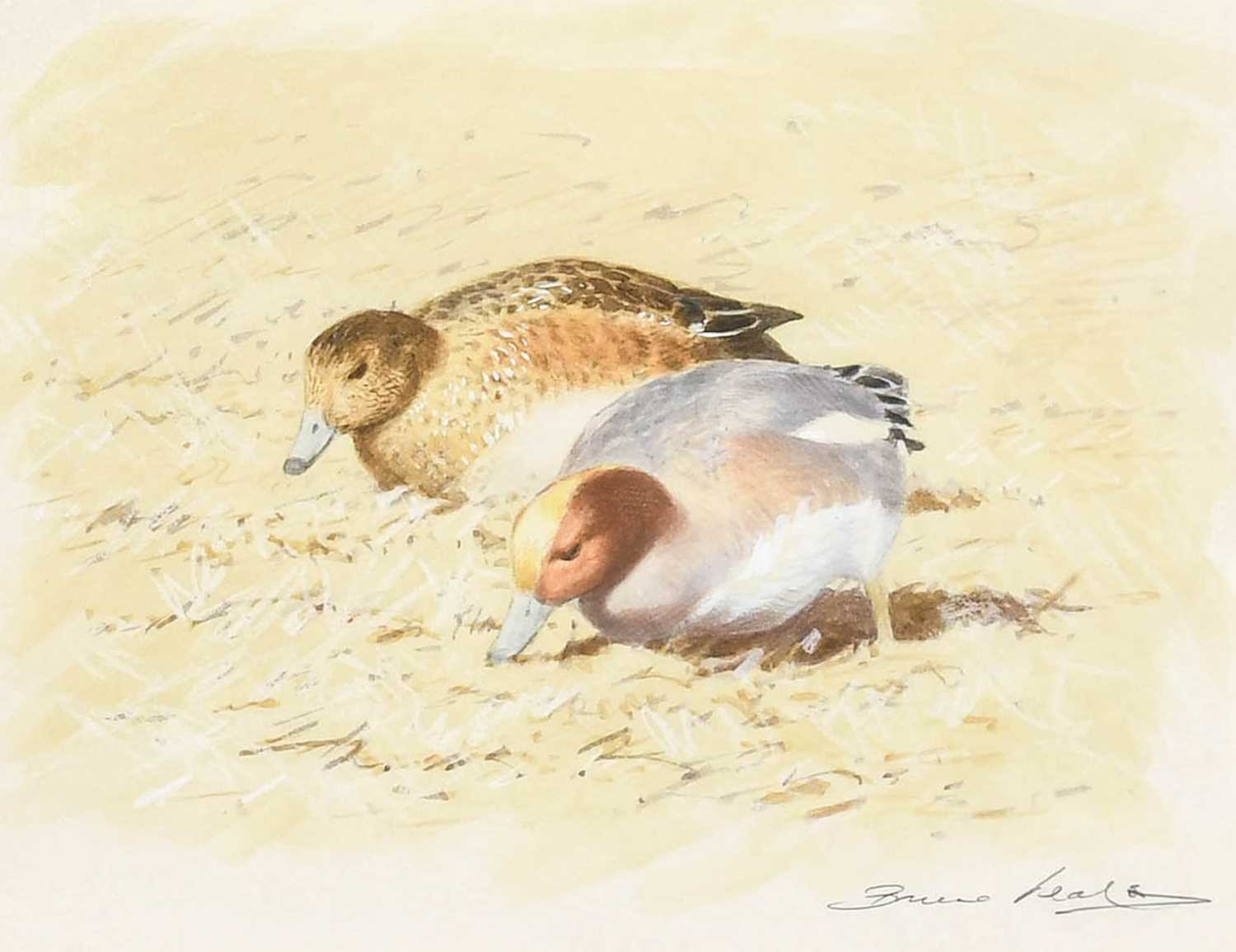 Lot 1066 - Bruce Pearson (b.1950) Pair of wigeon
