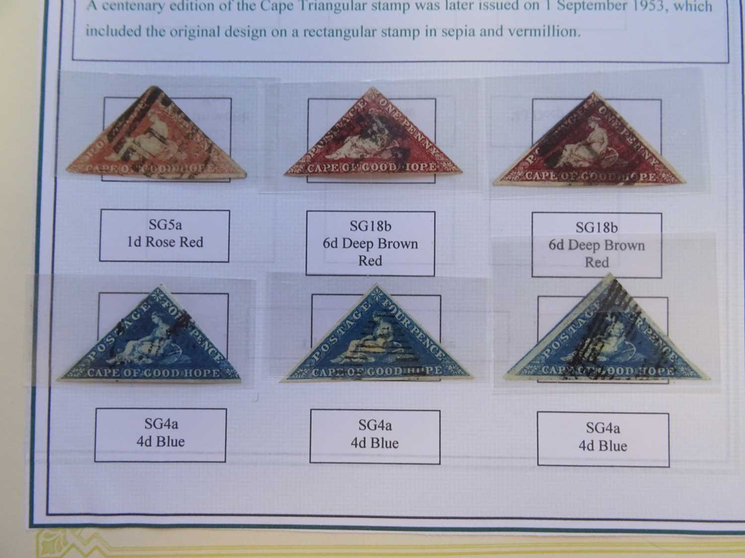 Lot 56 - Cape of Good Hope