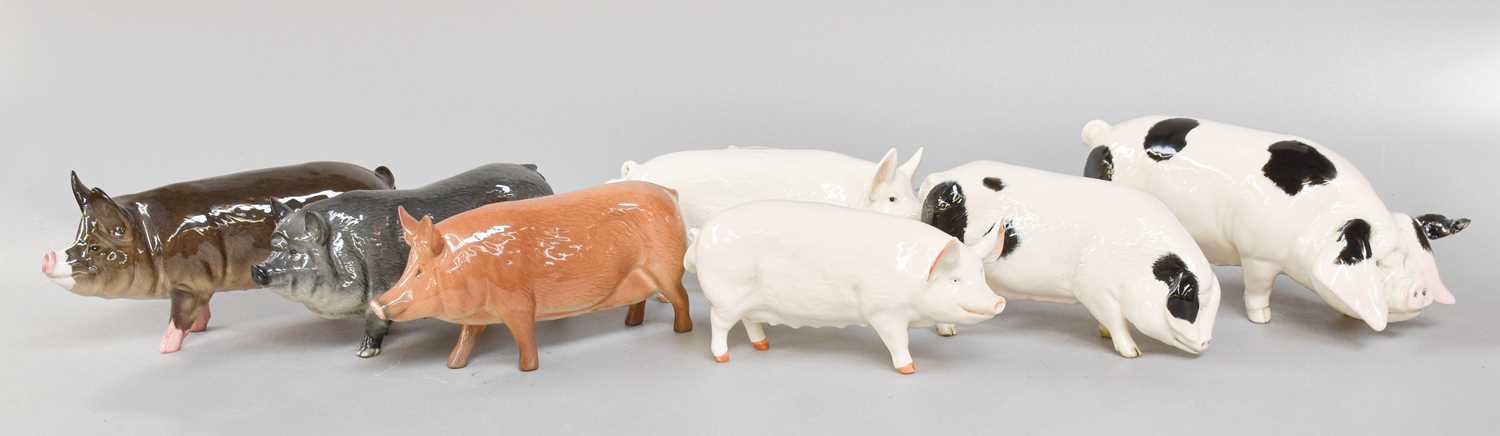 Lot 171 - Beswick Pigs, including 'Tamworth Sow' model