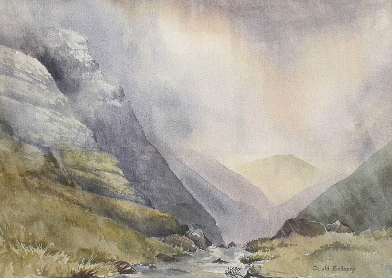 Lot 1017 - David Bellamy (1933-2019) "Storm, Glencoe"