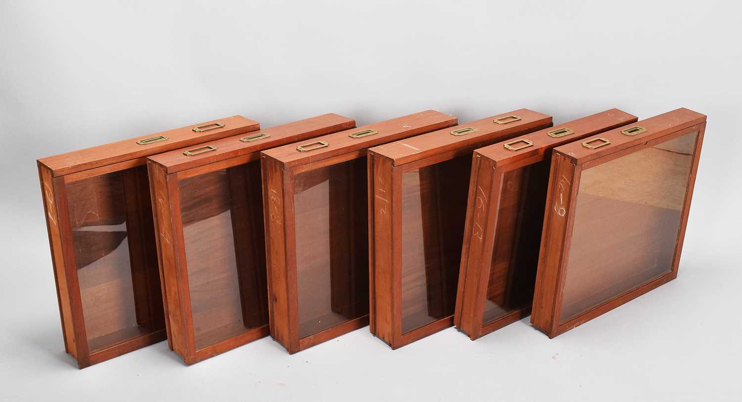 Lot 1091 - Six Glazed Collectors Drawers, all with
