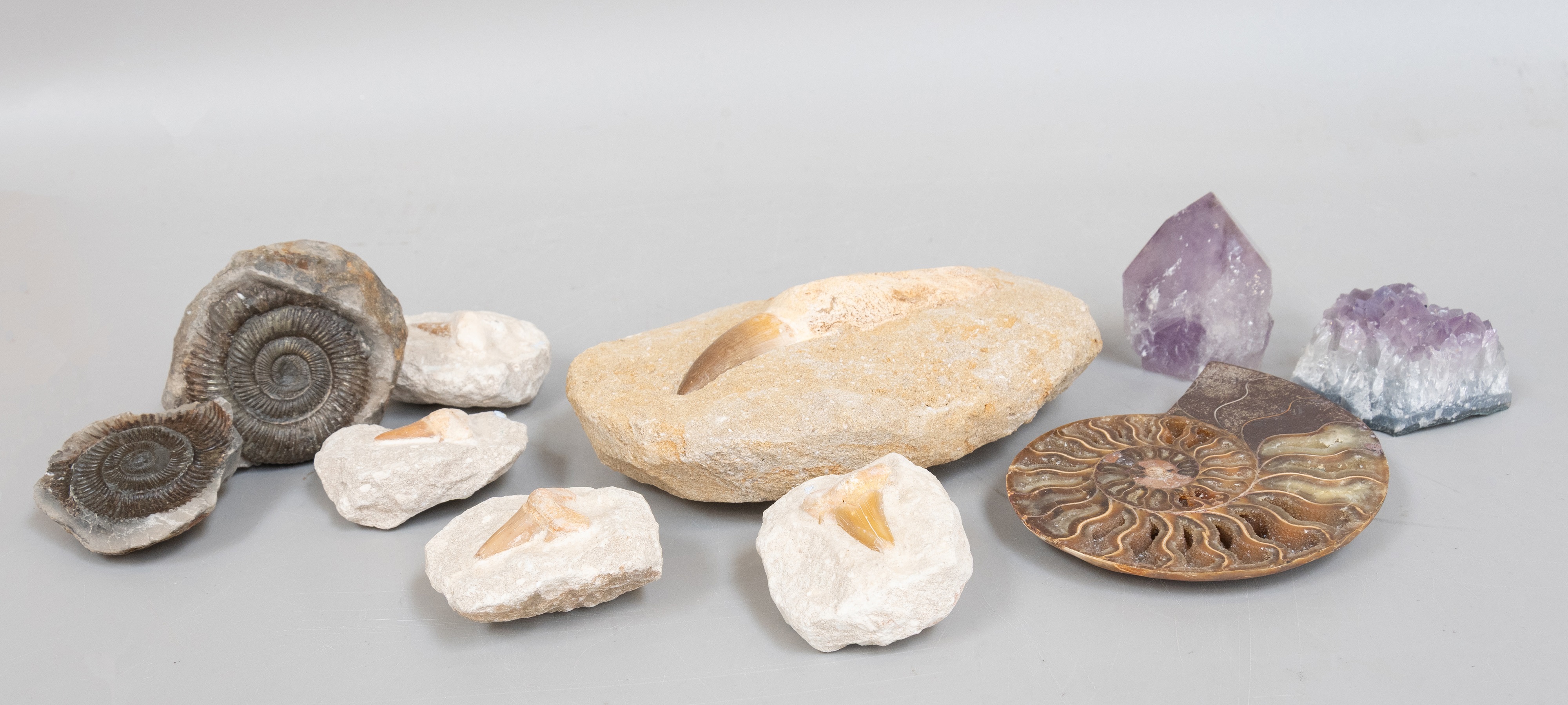 Lot 163 - Natural History: A Collection of Polished