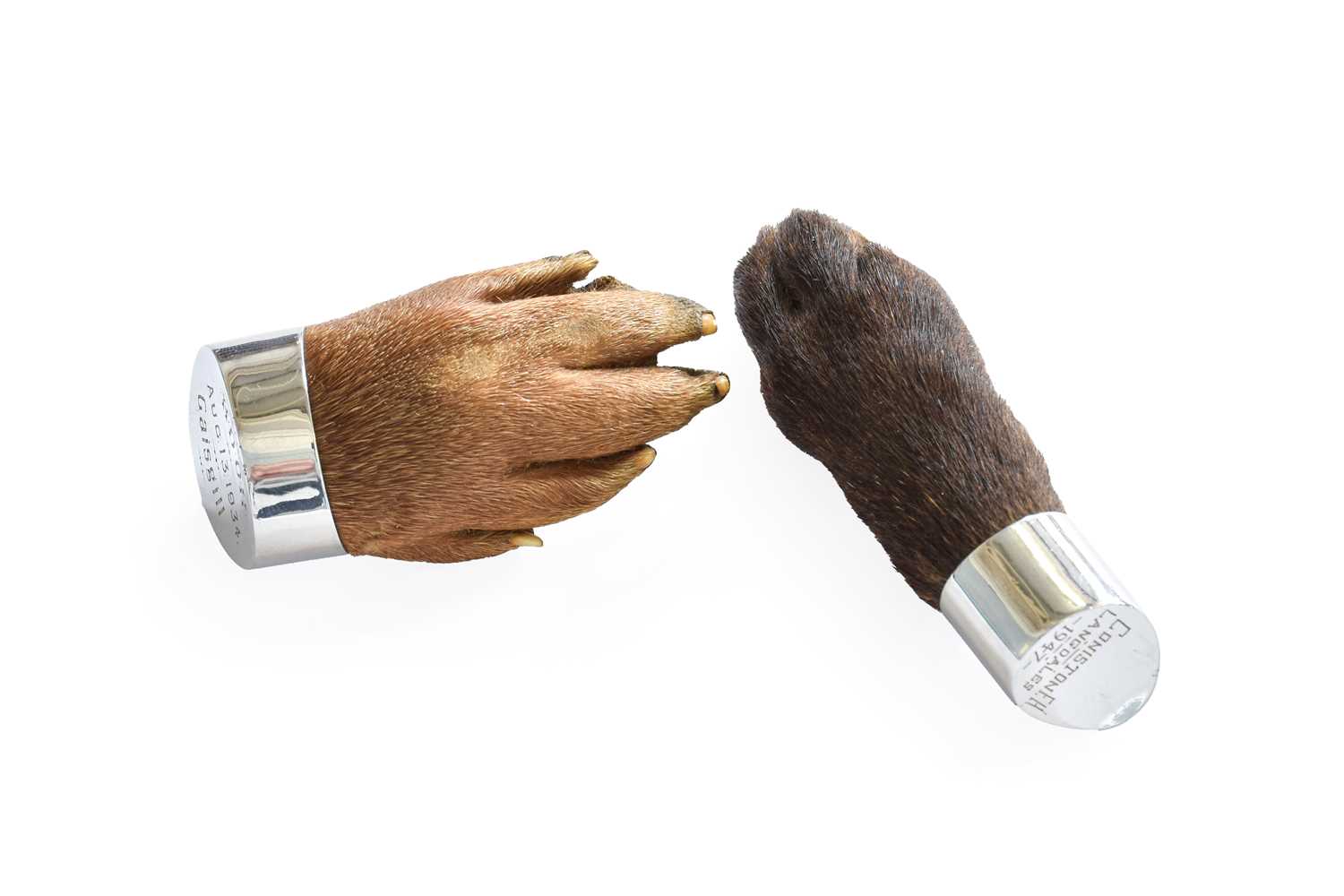 Lot 389 - Taxidermy: A European Otter Pad and Red Fox