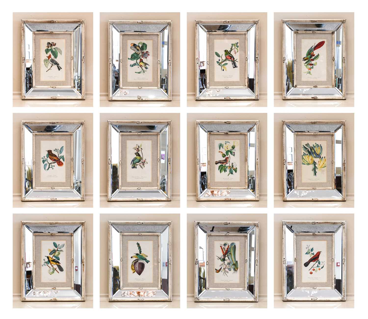 Lot 377 - After Descourtilz (Jean Theodore), A Set of