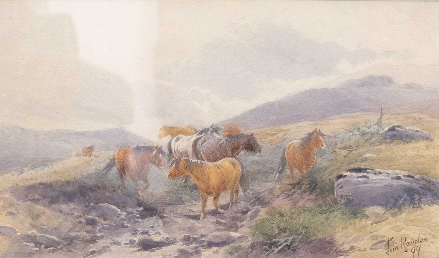Lot 1143 - Thomas Rowden (1842-1926) Cattle Crantock