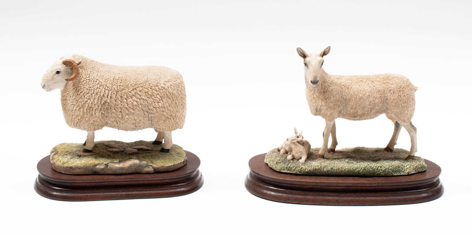 Border Fine Arts 'Cheviot Ram', model No. L139,
