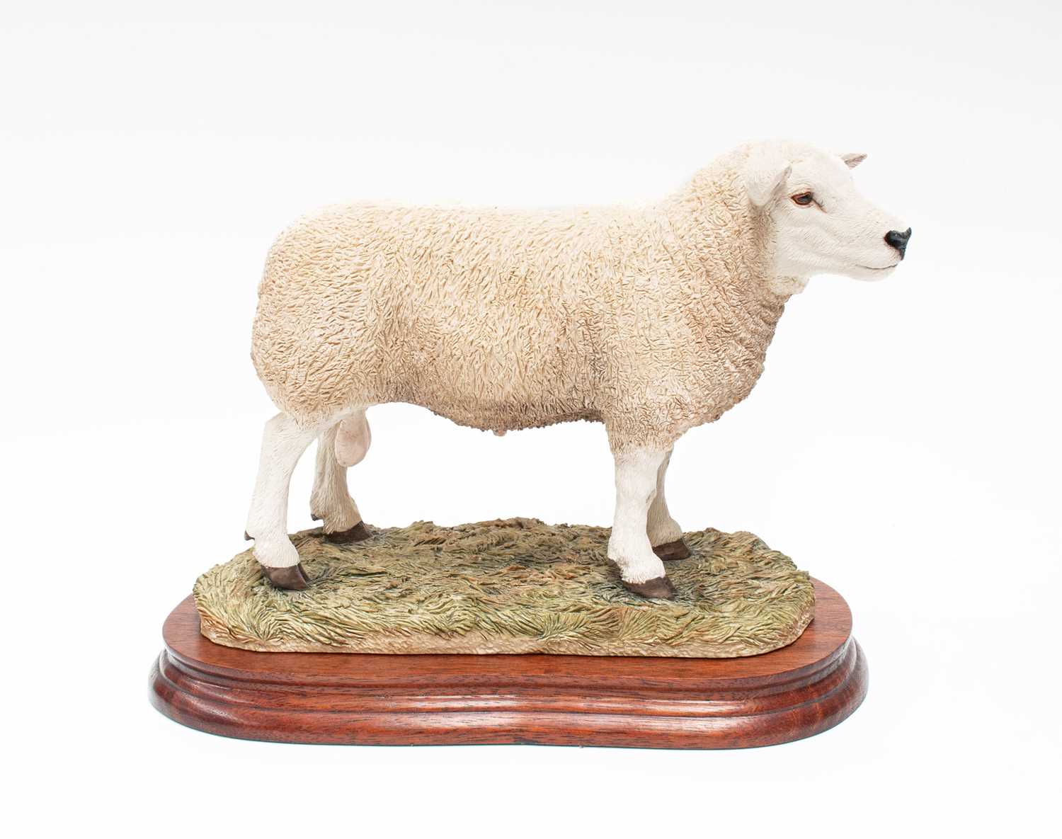 Lot 91 - Border Fine Arts 'Texel Ram' (Style Two),