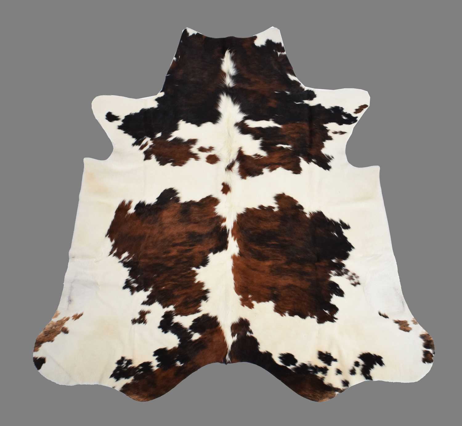 Hides/Skins: Nguni Cow Hide Rug, (Bos taurus), modern,