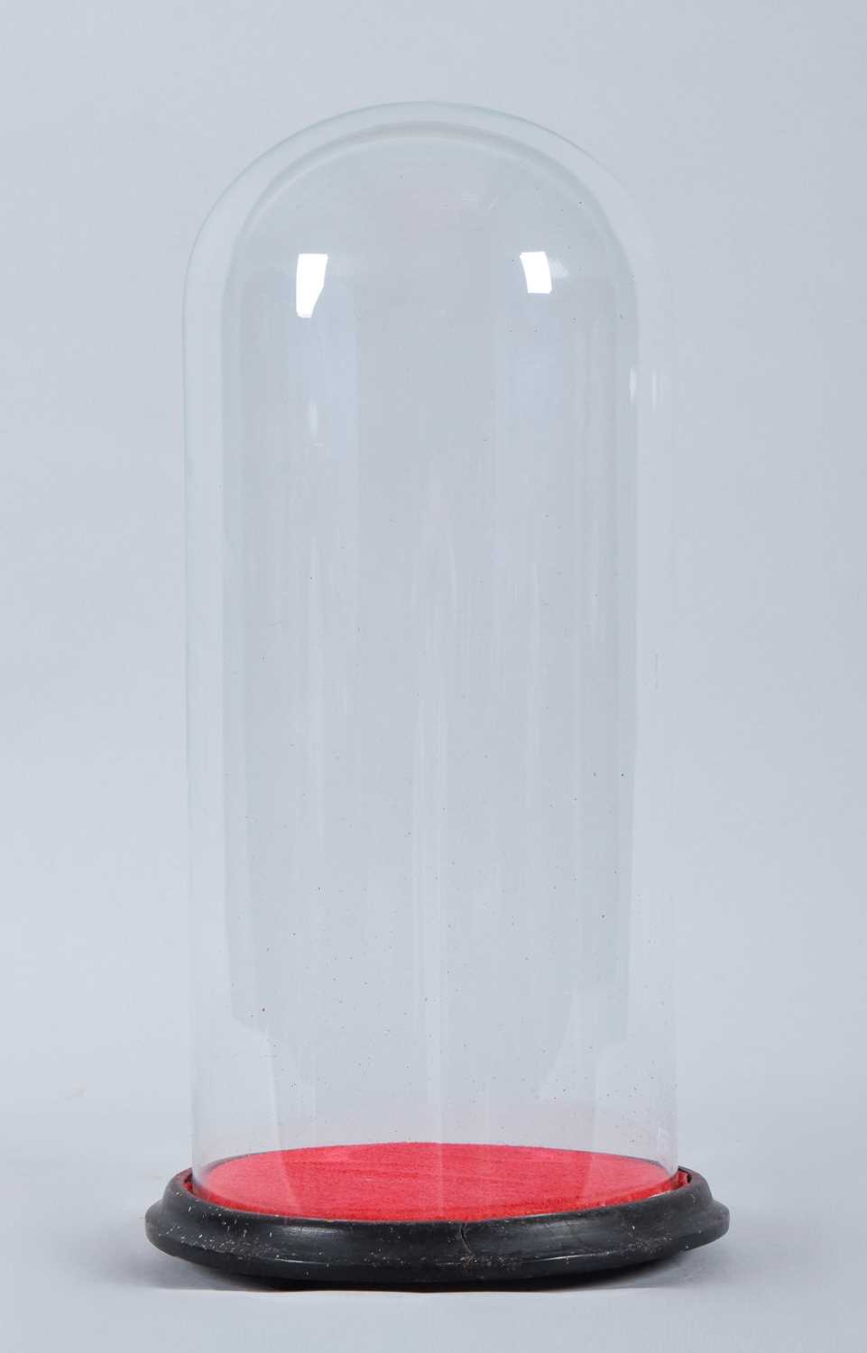 Lot 14 - Glass Domes: A Period Glass Dome, of circular