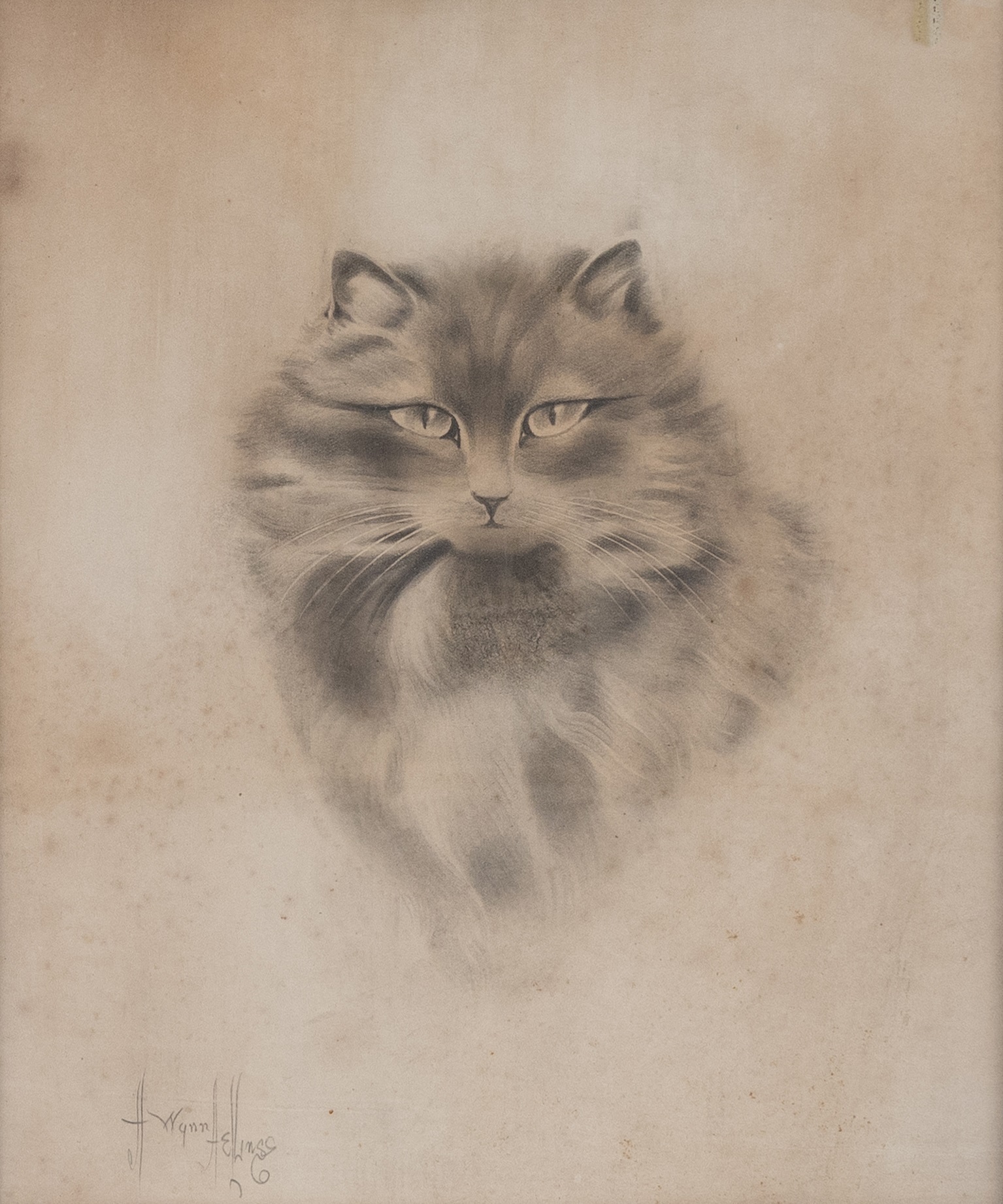 Lot 137 - David Porteous-Butler (Contemporary) "Cat