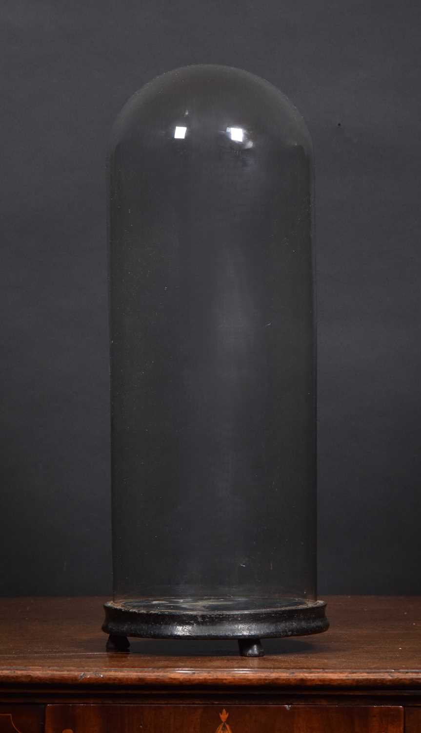Lot 102 - Glass Dome: A Period Glass Dome, of circular