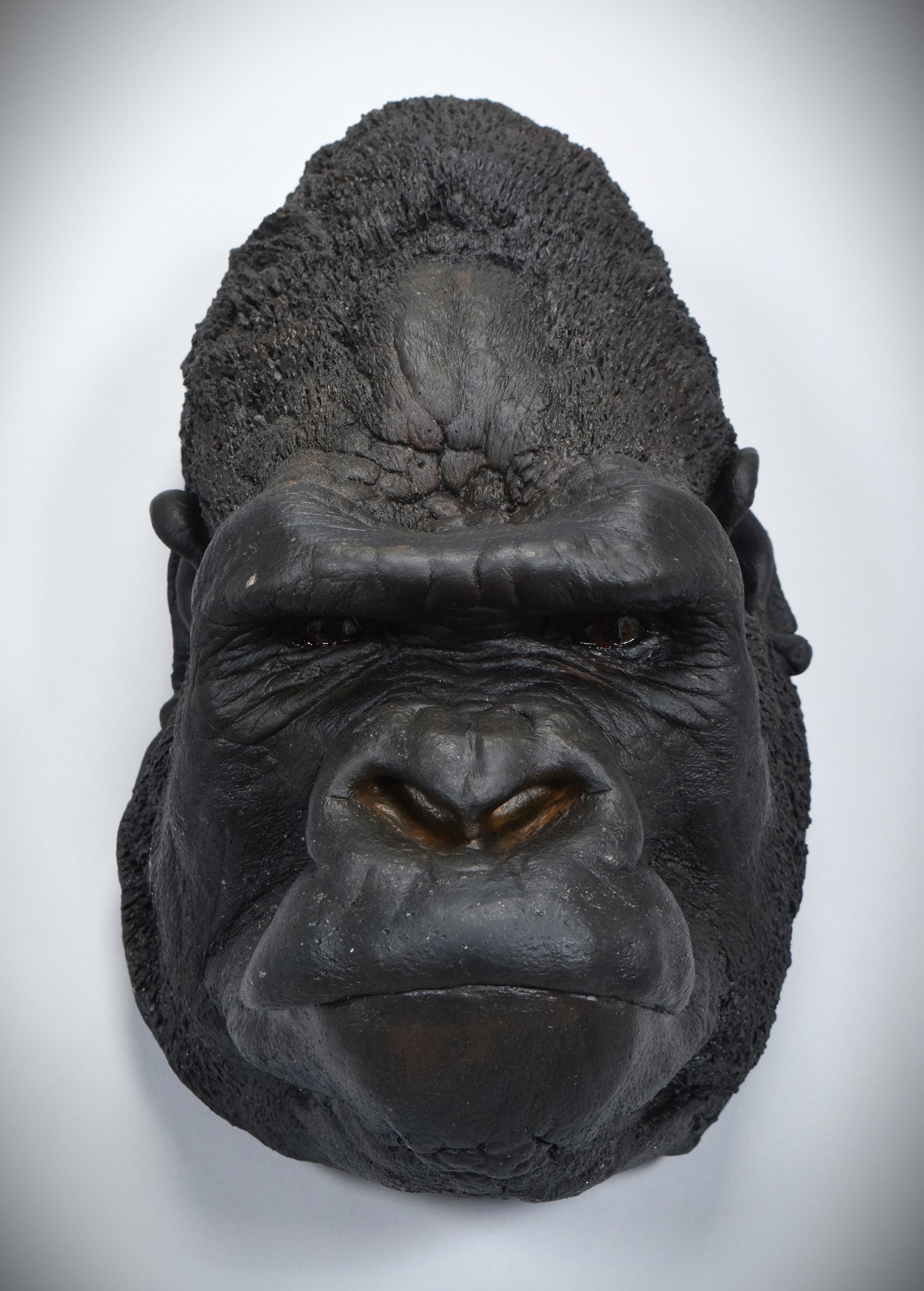 Lot 112 - Natural History: An Eastern Gorilla Death