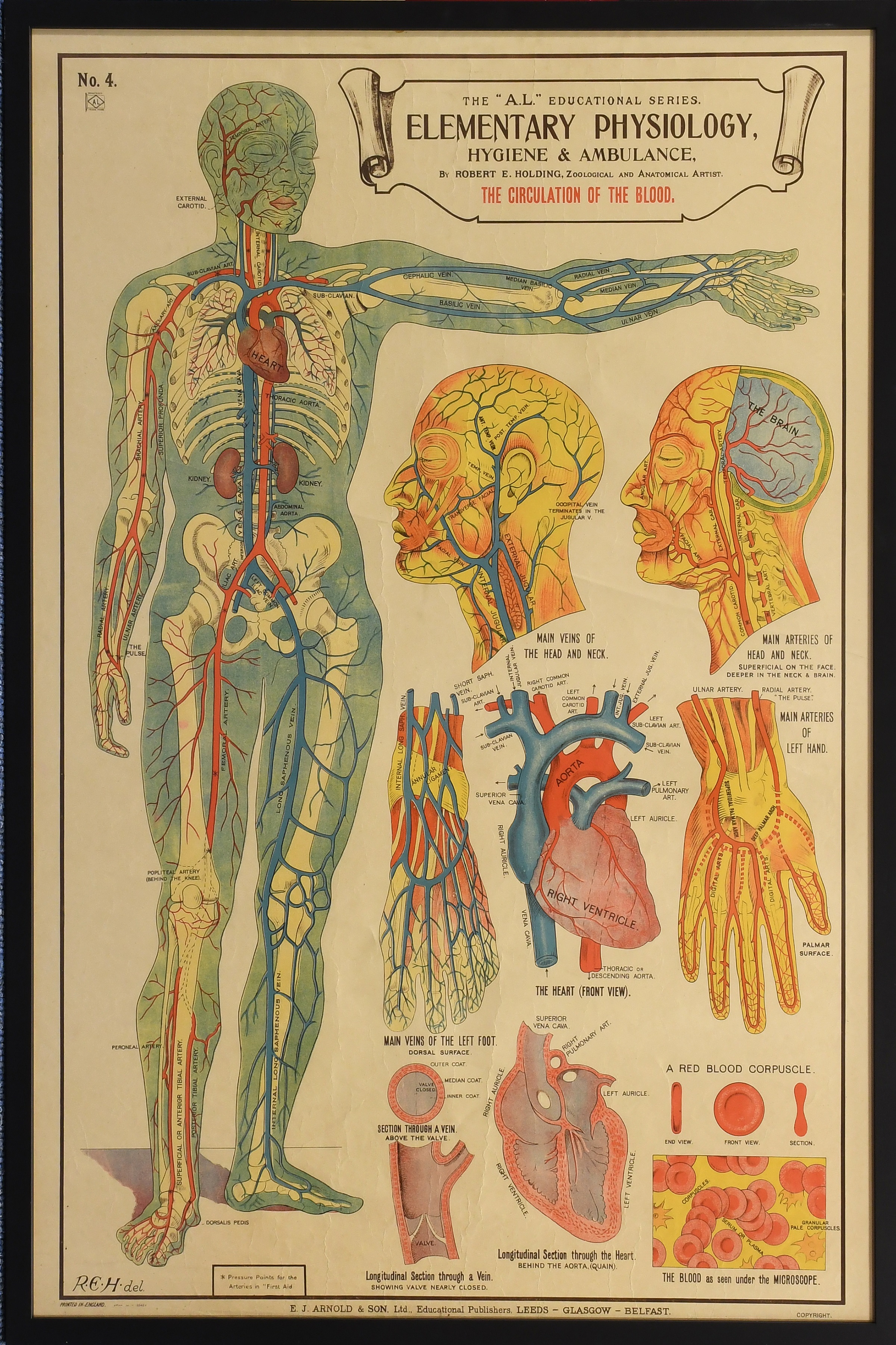 Lot 138 - Elementary Physiology, Hygiene & Ambulance