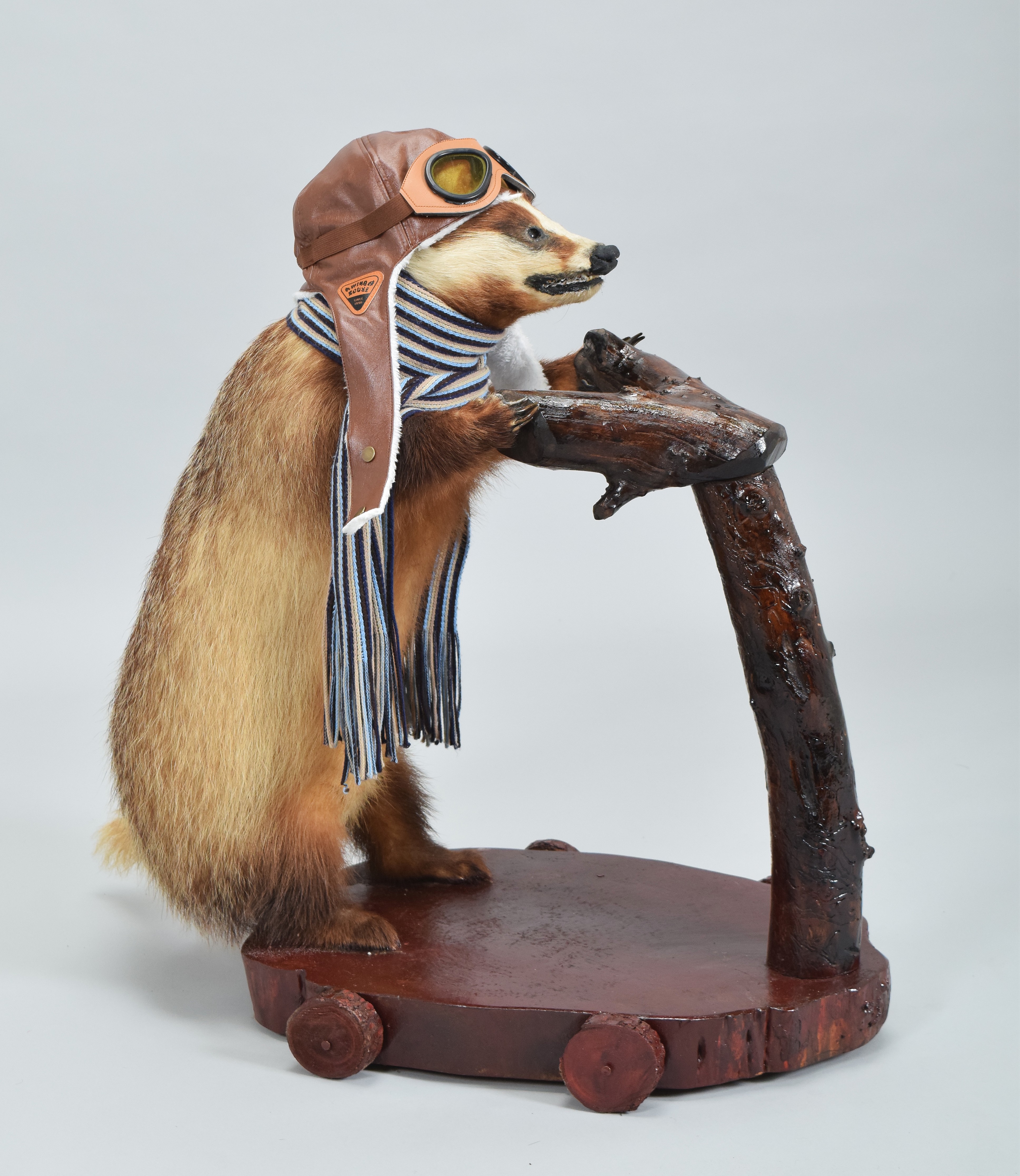 Anthropomorphic Taxidermy: A European Badger Scooter