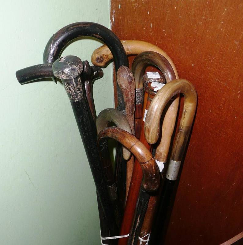 Lot 264 - Fifteen assorted walking sticks and canes,