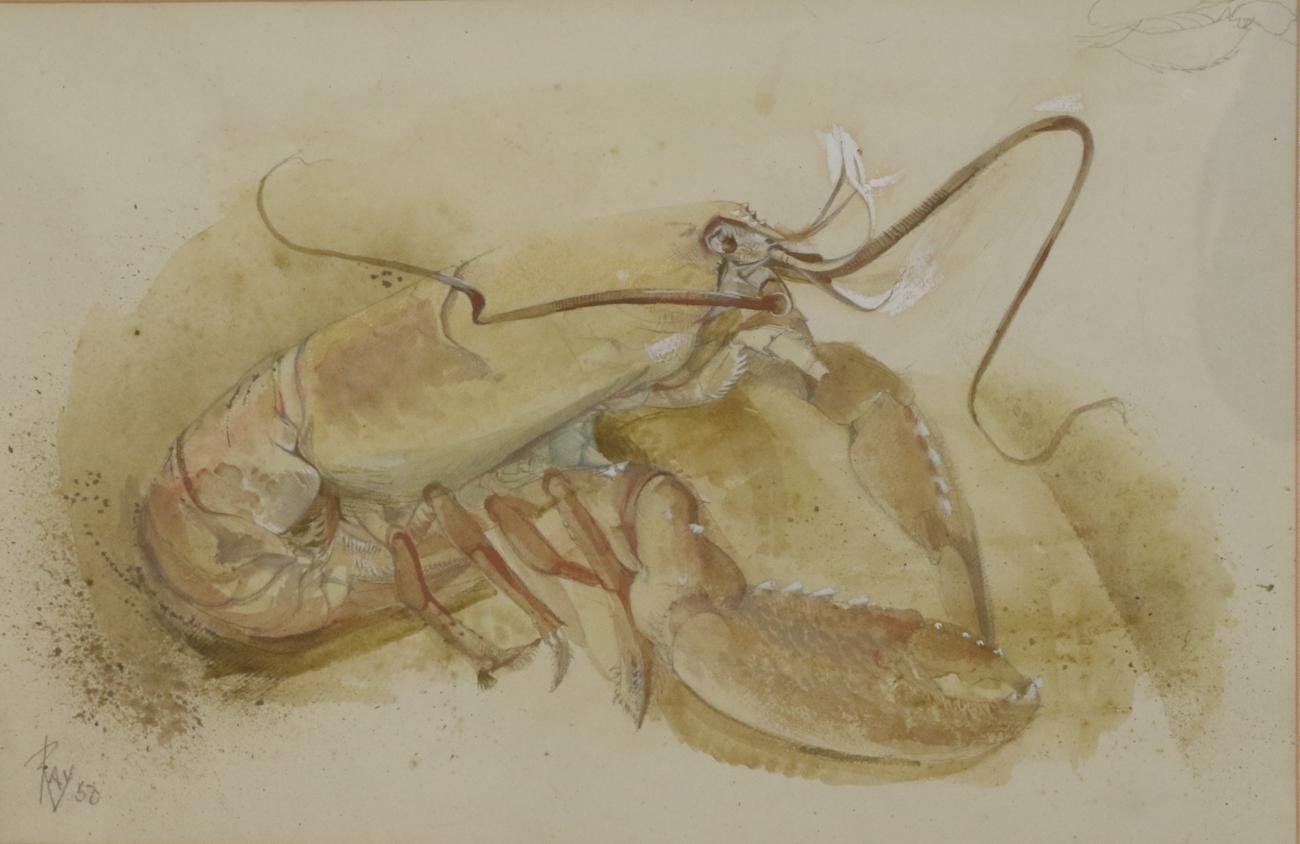 Lot 2071 - Ray Howard Jones (1903-1996) Lobster study