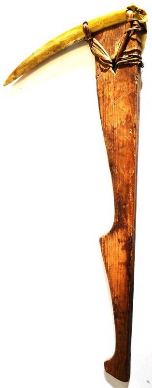 Lot 456 - An Inuit Walrus Tusk Club, the chamfered