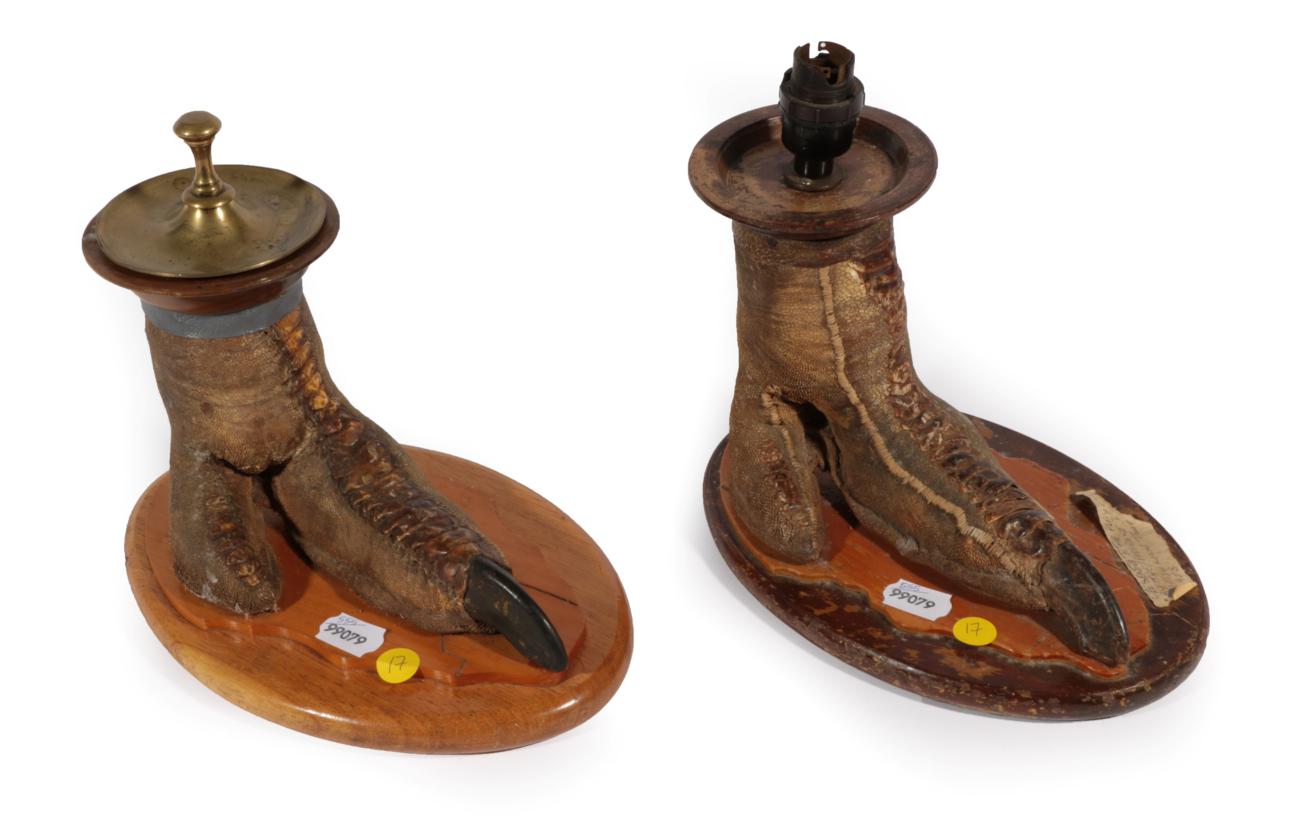 Lot 147 - Taxidermy: Two Ostrich Feet (Struthio
