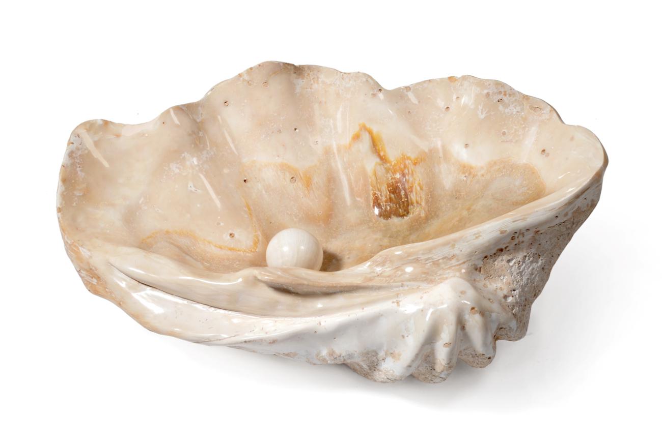 Lot 308 - Conchology; A Giant Fossilised Half Clam