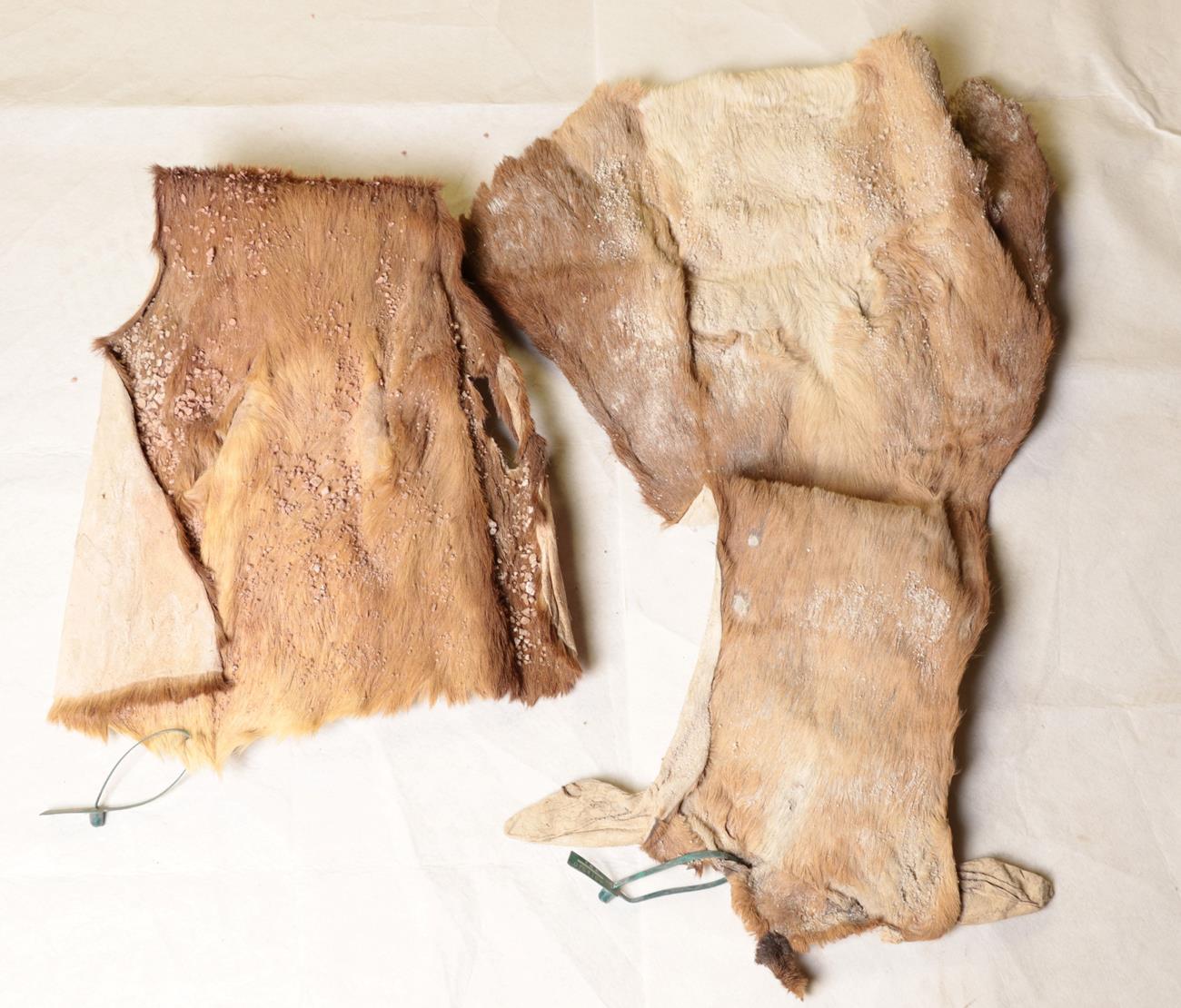 Lot 65 - Hides/Skins: South African Salted Capes,