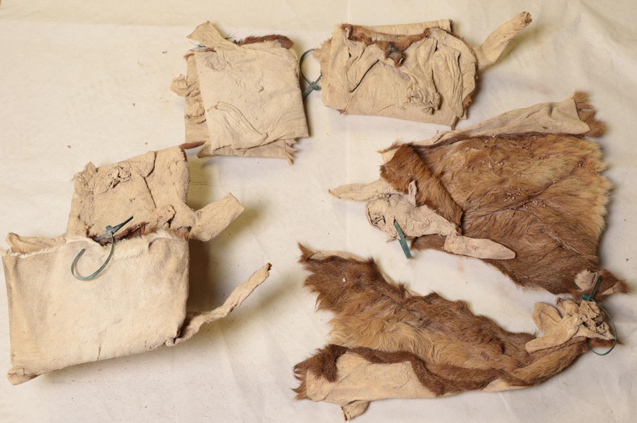 Lot 65 - Hides/Skins: South African Salted Capes,