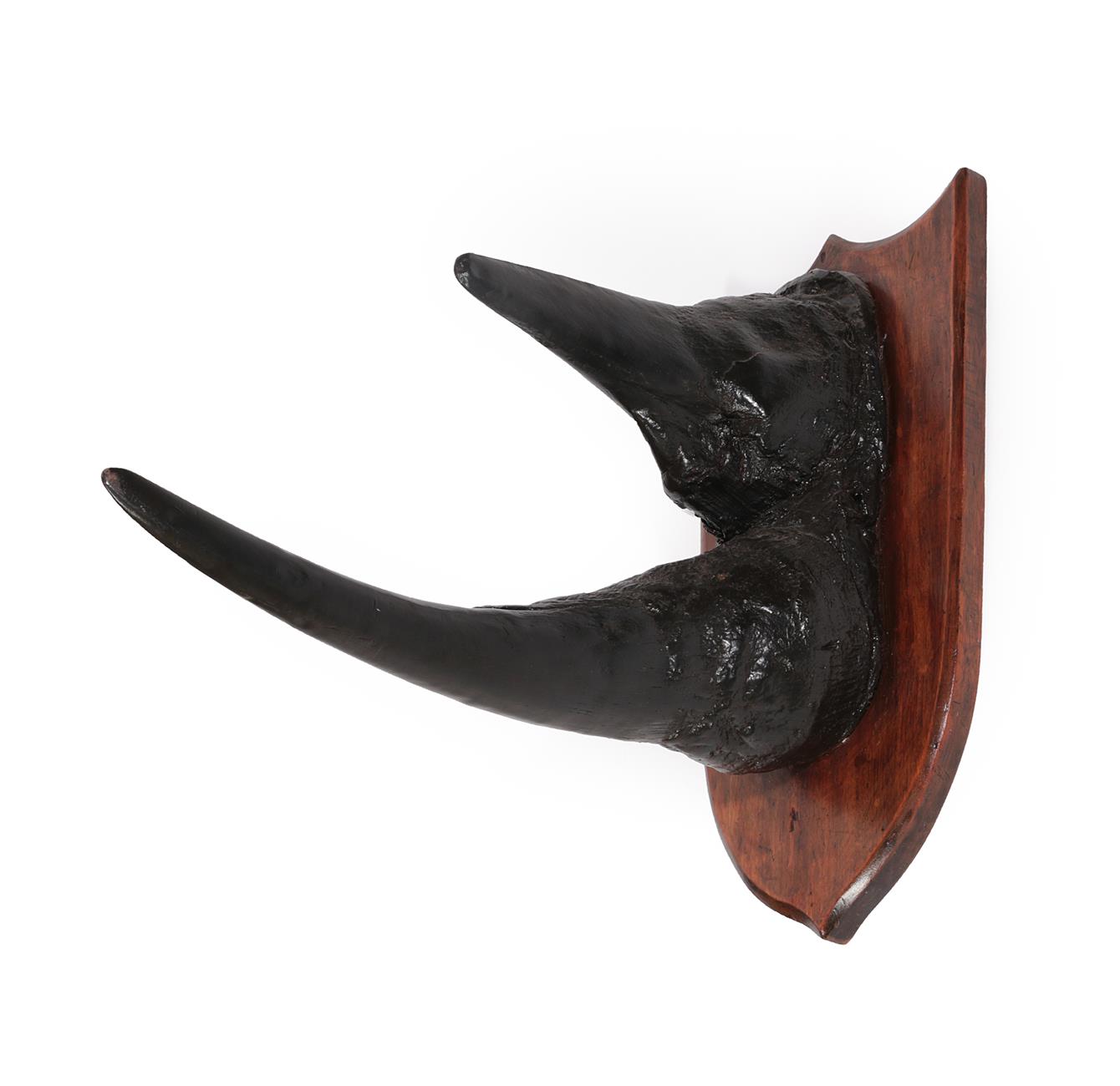 Lot 16 - Horns: A Pair of Replica Rhinoceros Horns,